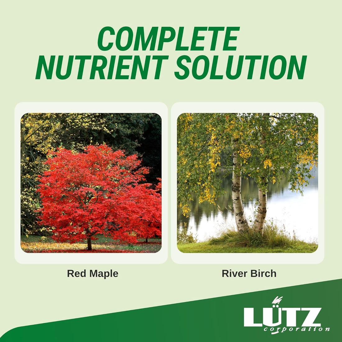 River Birch/Red Maple Spike – Lutz Corporation