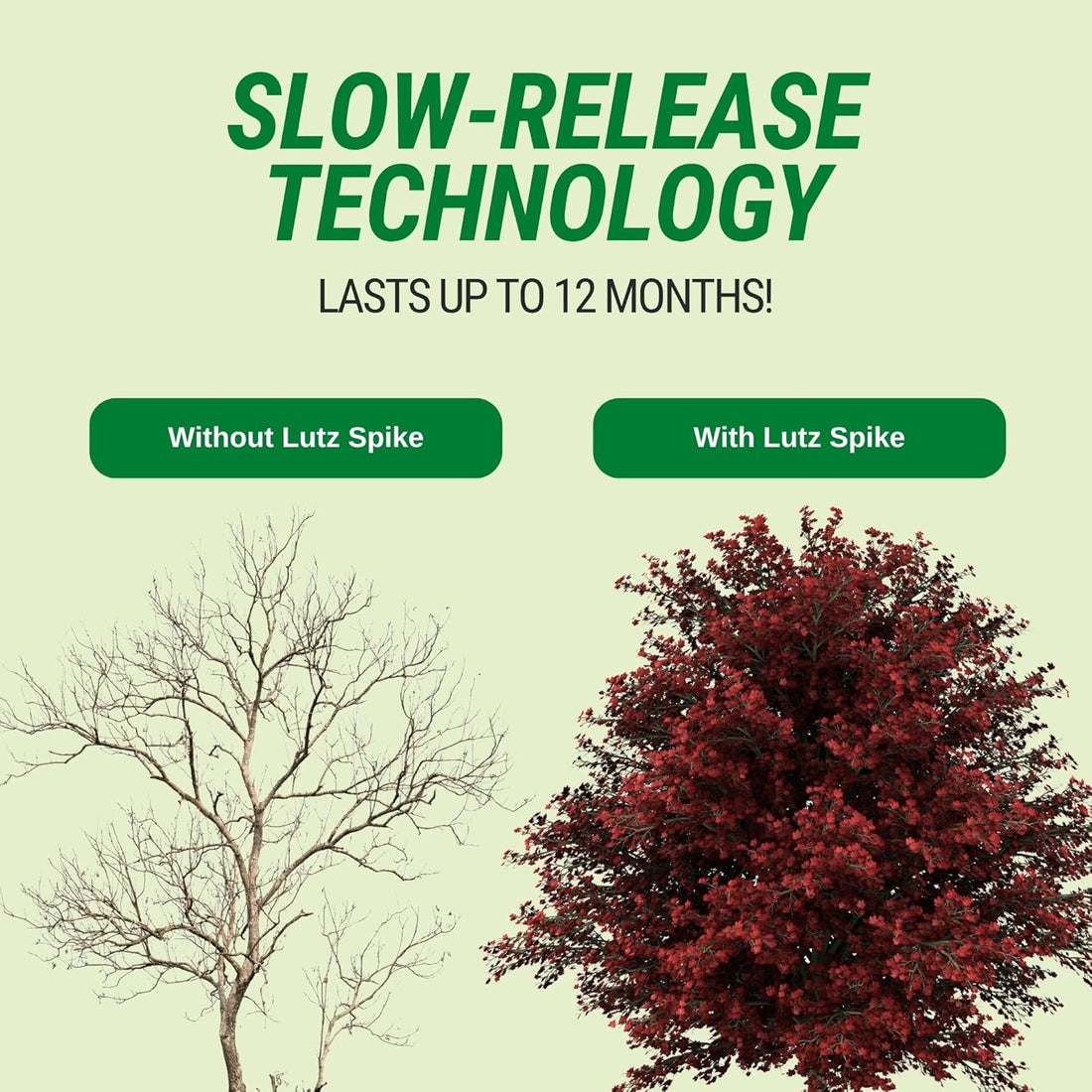 River Birch/Red Maple Spike – Lutz Corporation